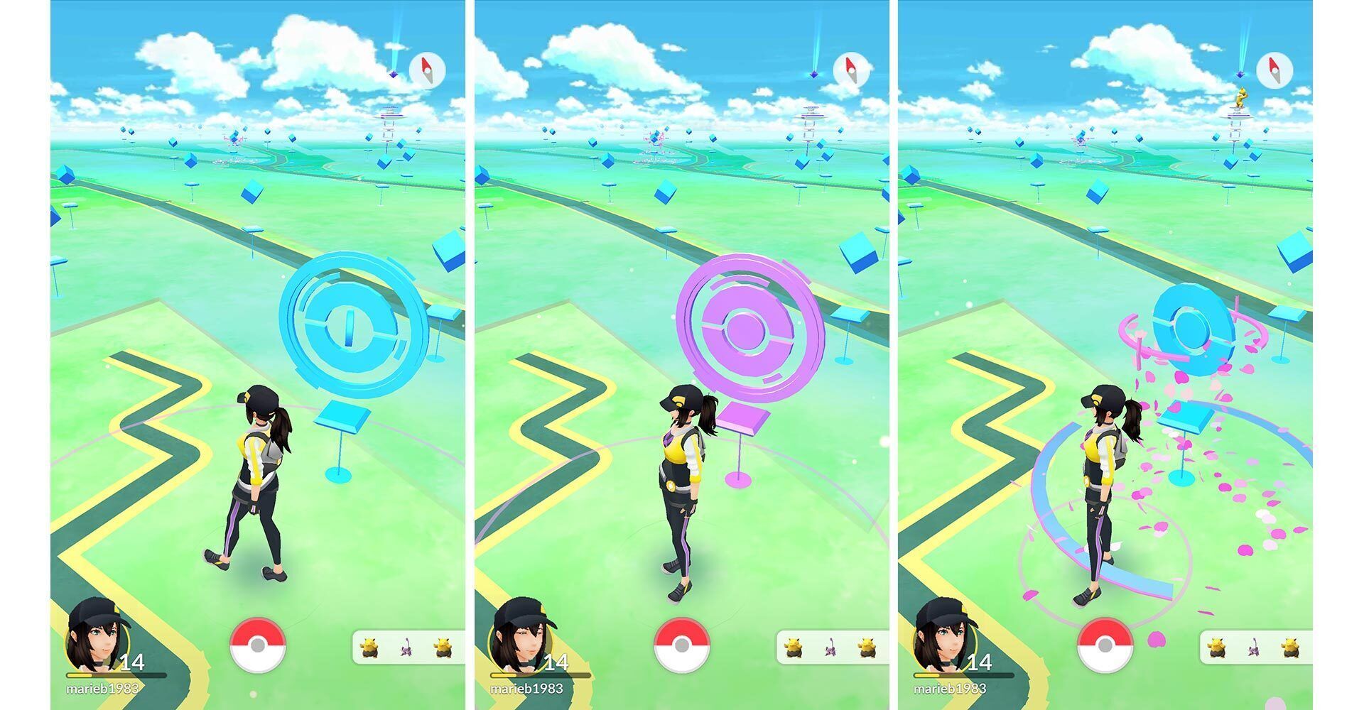 El núcleo duro de Pokemon Go - Revista Anfibia