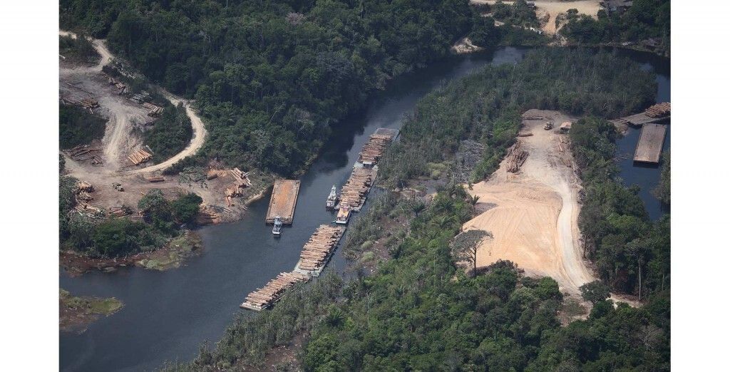 Cartografía de la selva - Revista Anfibia