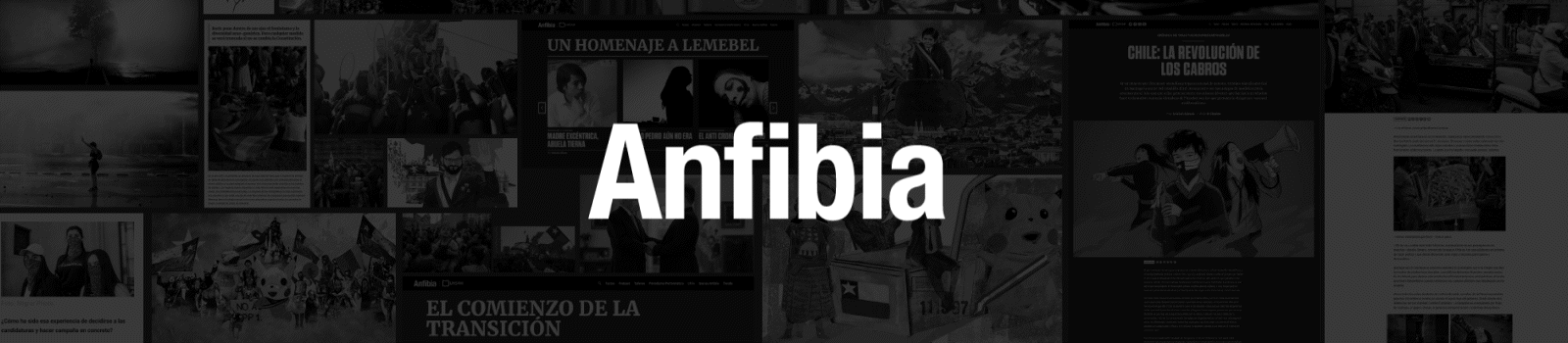 Revista Anfibia