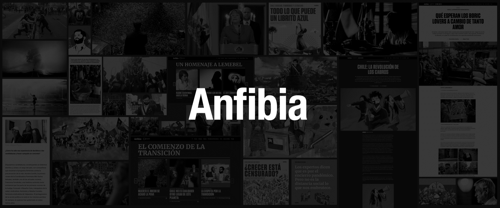 Chile - Revista Anfibia