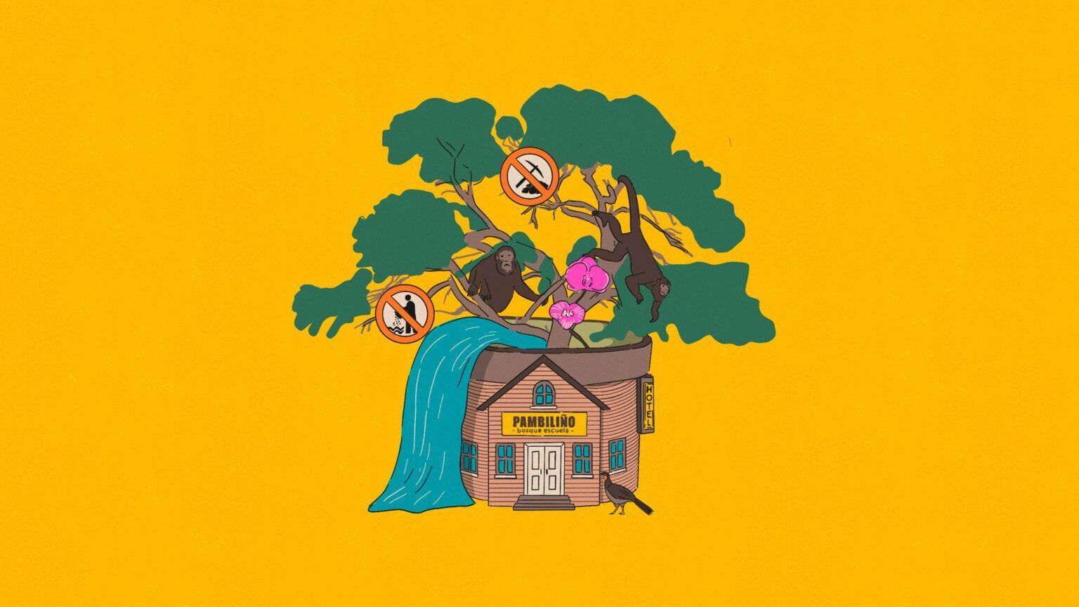 Una escuela y un hotel para sobrevivir en el bosque - Revista Anfibia